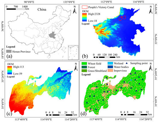 Regional Soil Moisture Estimation Leveraging Multi-Source Data Fusion and Automated Machine Learning