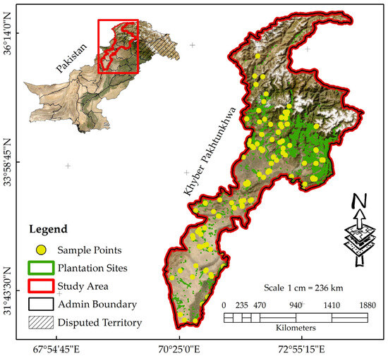 Estimating Aboveground Biomass and Carbon Sequestration in ...