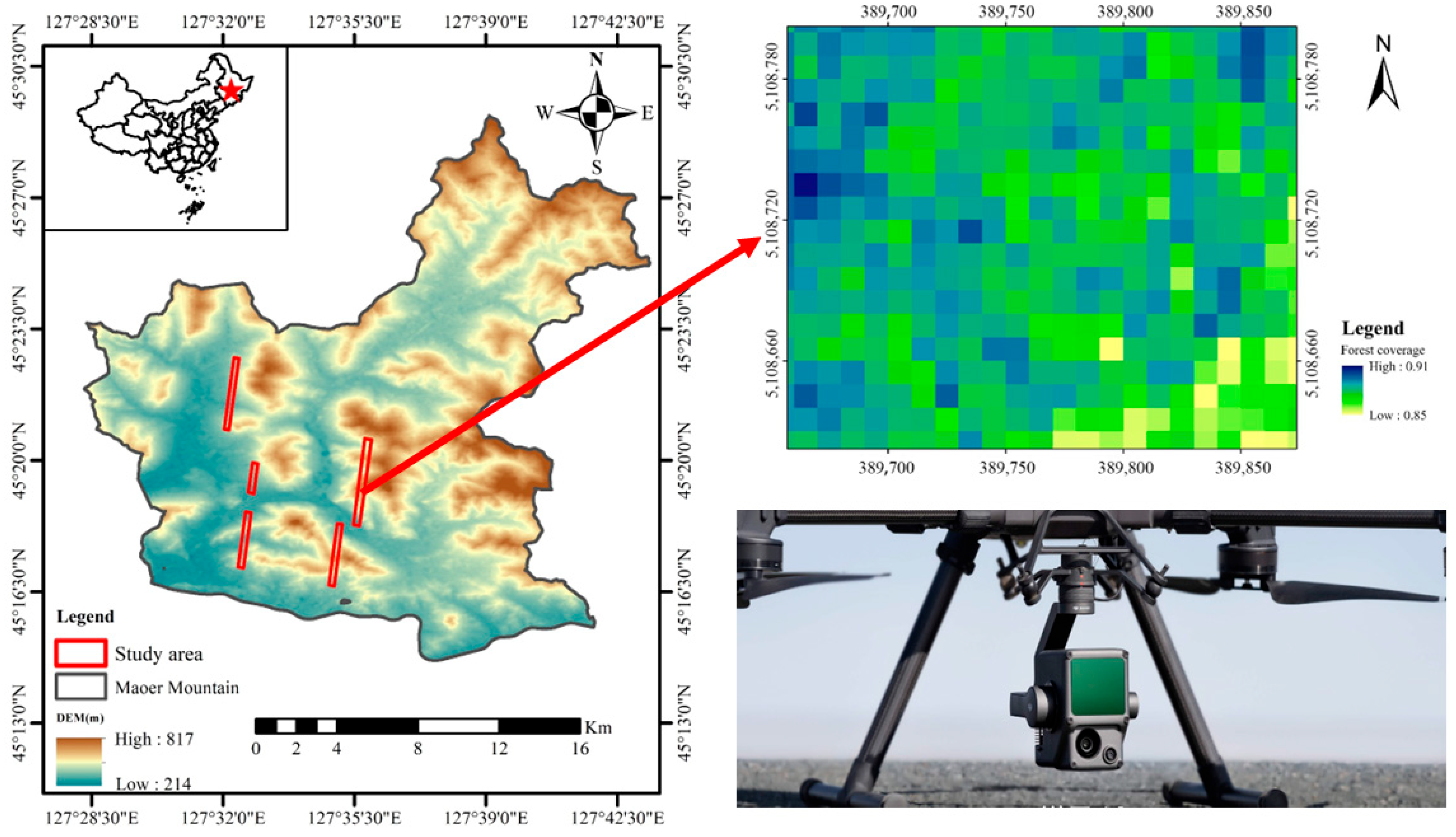 Estimation of Forest Canopy Height Using ATLAS Data Based on Improved ...