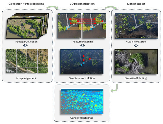 ForestSplat: Proof-of-Concept for a Scalable and High-Fidelity Forestry ...