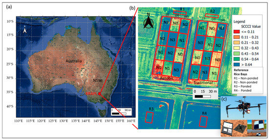 Impact of Standing Water Level and Observation Time on Remote-Sensed ...