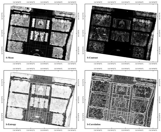 Comparison of UAV-Based LiDAR and Photogrammetric Point Cloud for ...