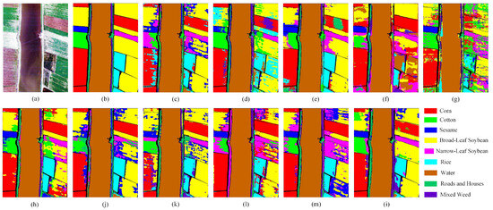 Hyperspectral Image Classification Using a Multi-Scale CNN Architecture with Asymmetric ...