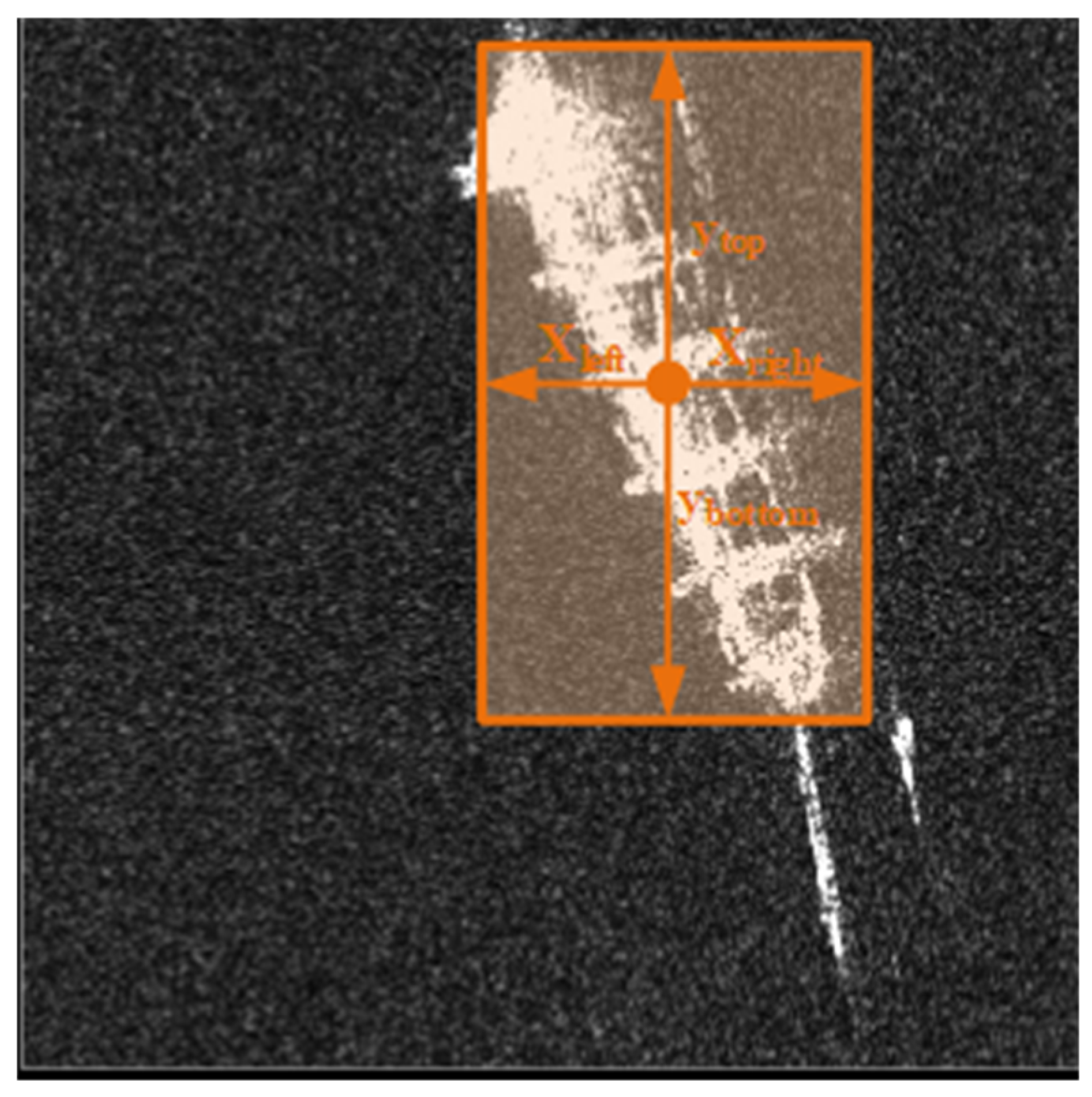 TPNet: A High-Performance and Lightweight Detector for Ship Detection in SAR Imagery