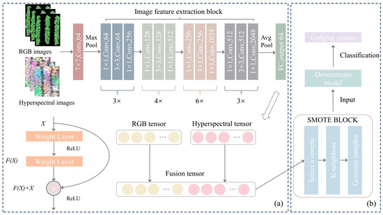 Soybean Lodging Classification and Yield Prediction Using Multimodal UAV Data Fusion and Deep ...