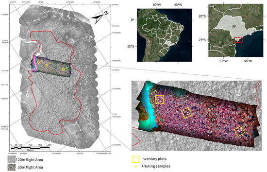 Geographic Object-Oriented Analysis of UAV Multispectral Images for Tree Distribution Mapping in ...