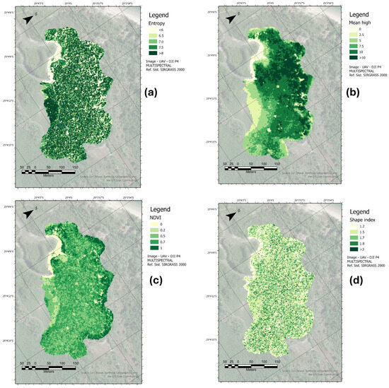 Geographic Object-Oriented Analysis of UAV Multispectral Images for Tree Distribution Mapping in ...