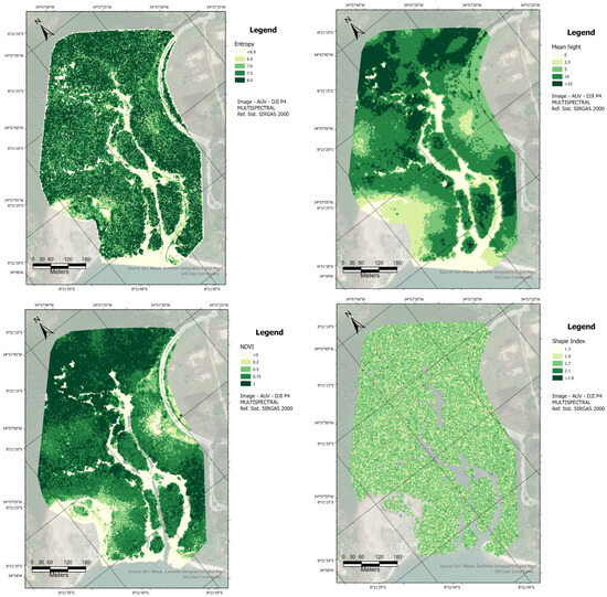 Geographic Object-Oriented Analysis of UAV Multispectral Images for Tree Distribution Mapping in ...