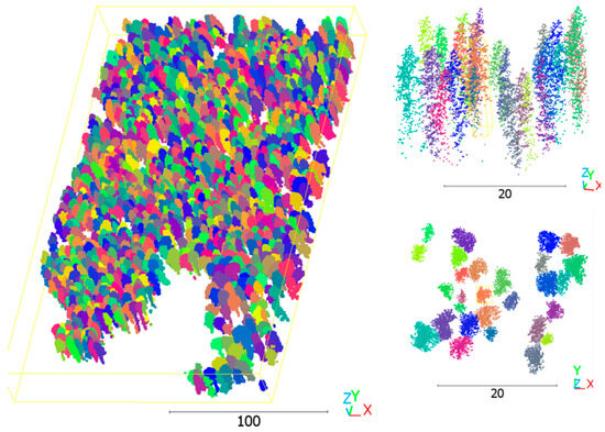 Two-Stage Deep Learning Framework for Individual Tree Crown Detection ...