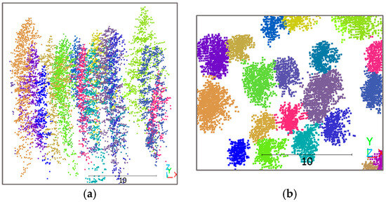 Two-Stage Deep Learning Framework for Individual Tree Crown Detection ...