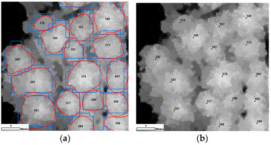 Two-Stage Deep Learning Framework for Individual Tree Crown Detection ...