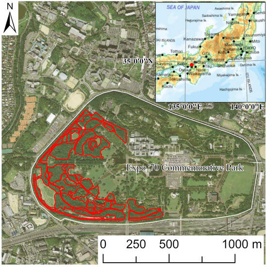 Classification of Forest Stratification and Evaluation of Forest ...