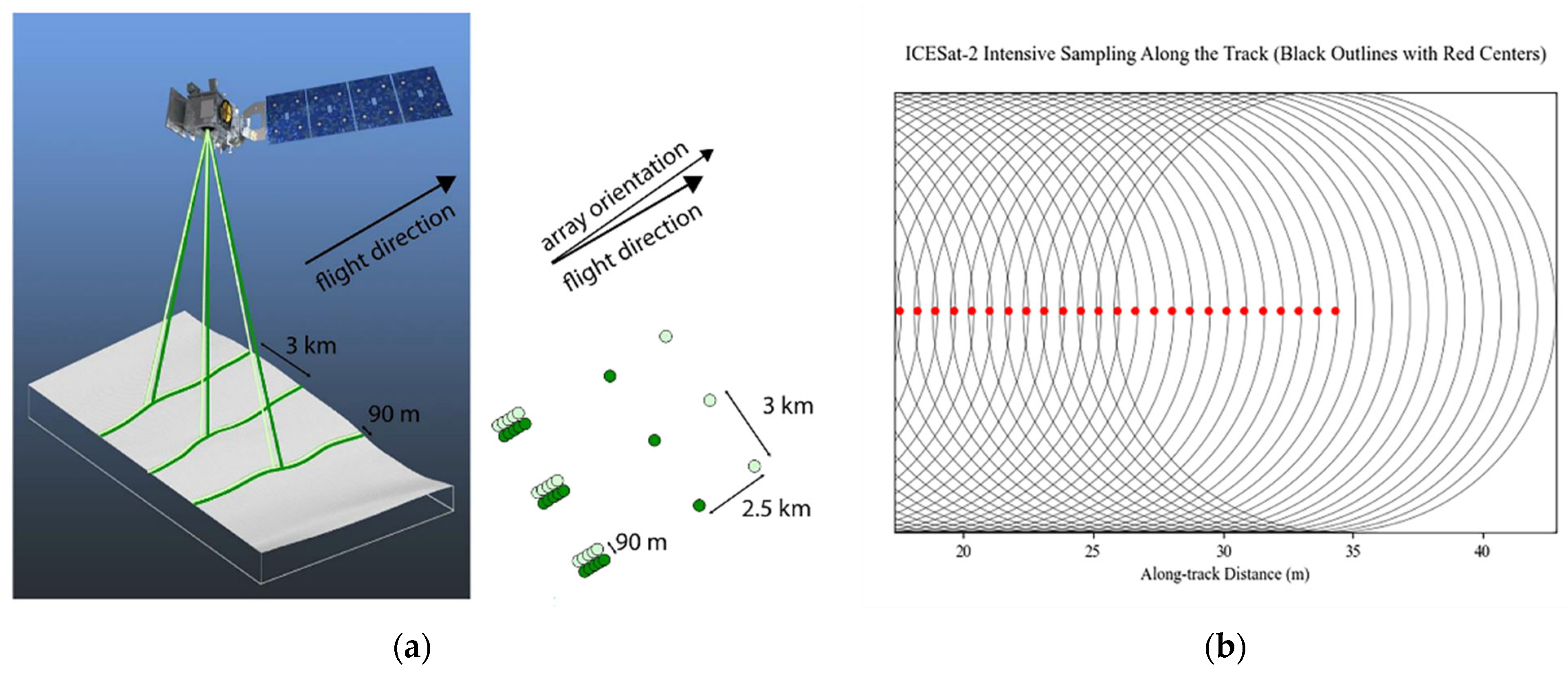 ICESat-2 Performance for Terrain and Canopy Height Retrieval in Complex ...