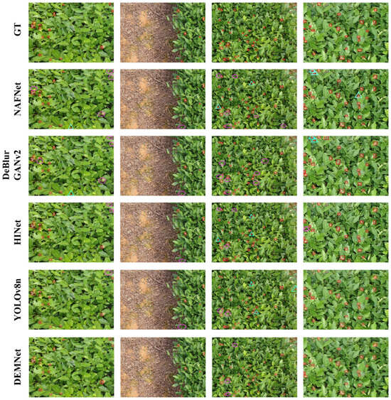 DEMNet: A Small Object Detection Method for Tea Leaf Blight in Slightly ...