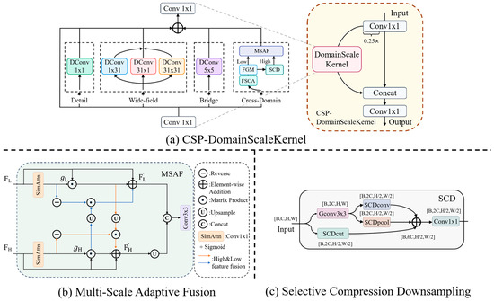 HSF-DETR: Hyper Scale Fusion Detection Transformer for Multi-Perspective UAV Object Detection