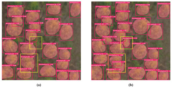 Forest Three-Dimensional Reconstruction Method Based on High-Resolution ...