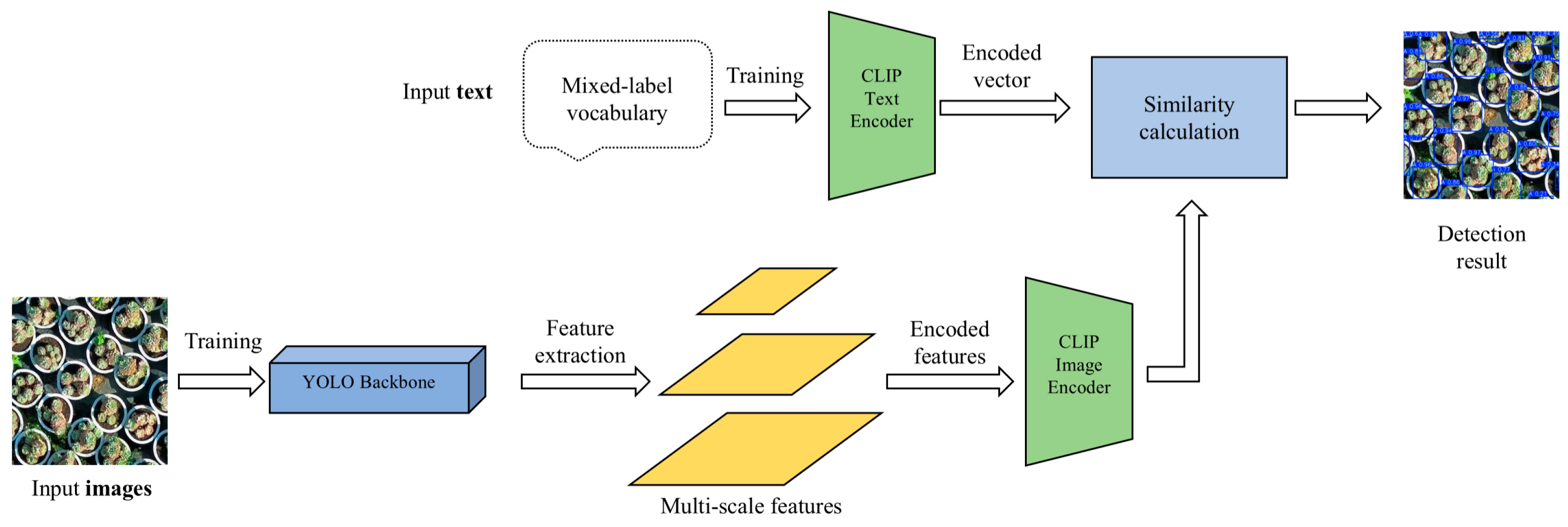 Succulent-YOLO: Smart UAV-Assisted Succulent Farmland Monitoring with CLIP-Based YOLOv10 and ...
