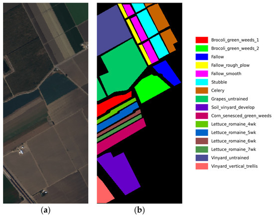 Spatial and Spectral Structure-Aware Mamba Network for Hyperspectral Image Classification