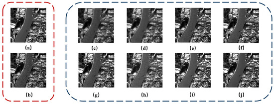 Efficient Conditional Diffusion Model for SAR Despeckling