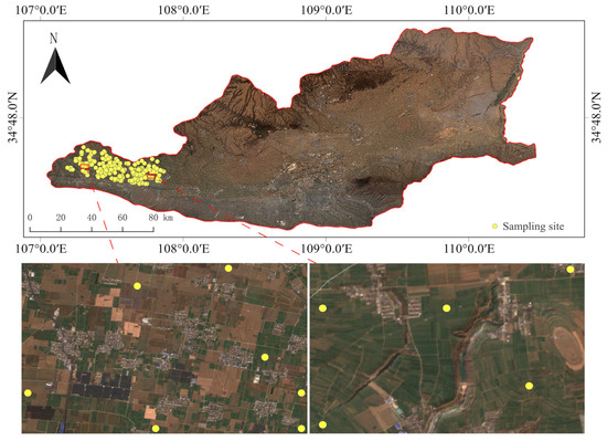 An Interpretable Wheat Yield Estimation Model Using Time Series Remote Sensing Data and ...