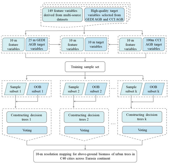 Accounting for 10 m Resolution Mapping for Above-Ground Biomass of ...