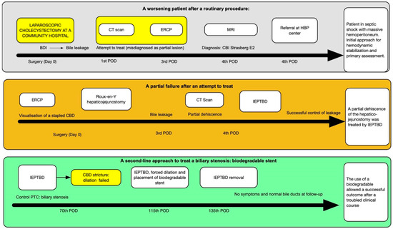 Biodegradable Stents: A Breakthrough in the Management of Complex ...