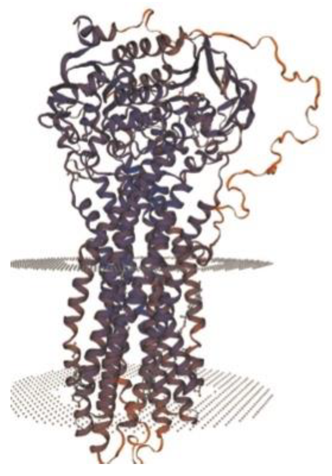 One Family with Cholestasis: The Twisted Road to the Diagnosis of Pfic ...