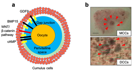 Reprod Med Free Full Text Next Generation Sequencing Reveals