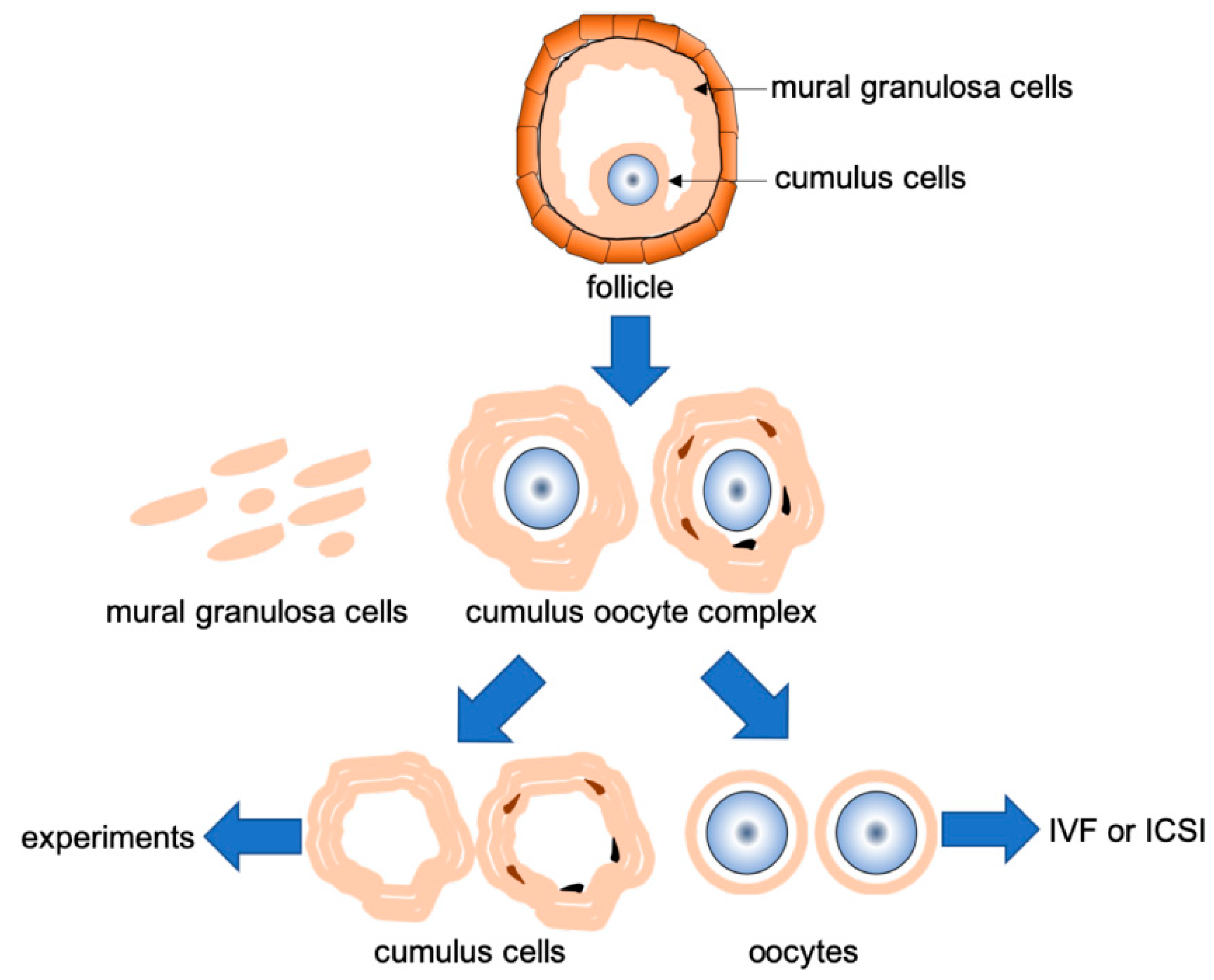 Reprod Med Free Full Text Next Generation Sequencing Reveals