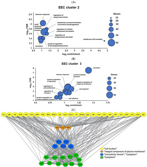 The Human Early Maternal–Embryonic Interactome