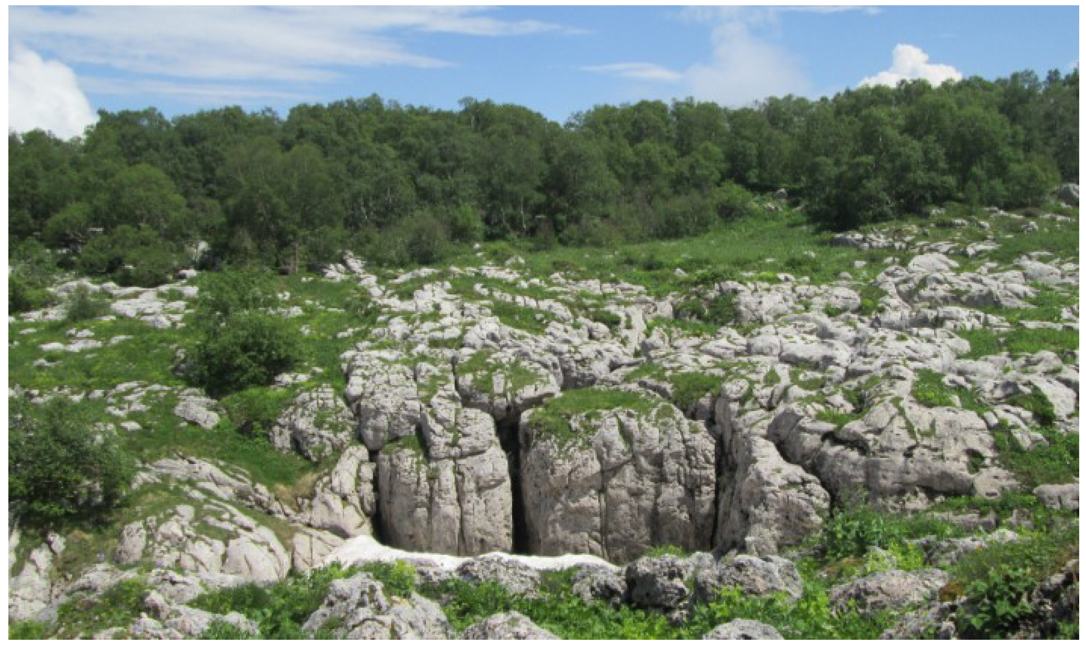 Karst as Important Resource for Geopark-Based Tourism: Current State ...
