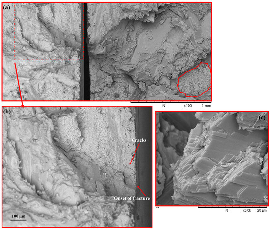 The Potential Use of Oyster Shell Waste in New Value-Added By-Product