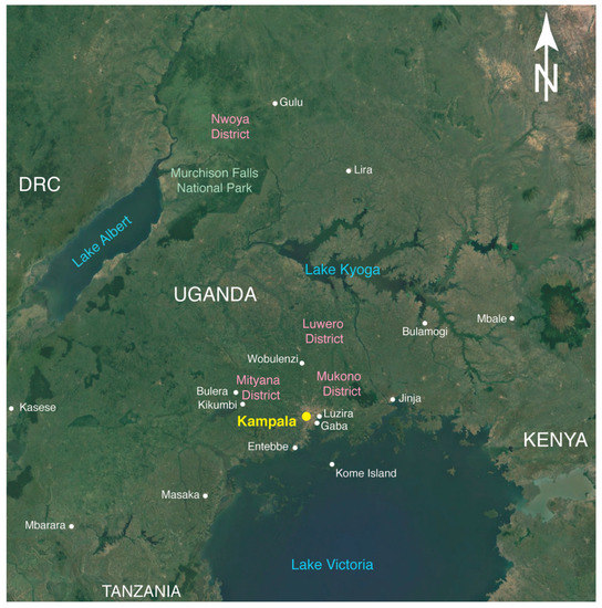 Charcoal as an Energy Resource: Global Trade, Production and ...
