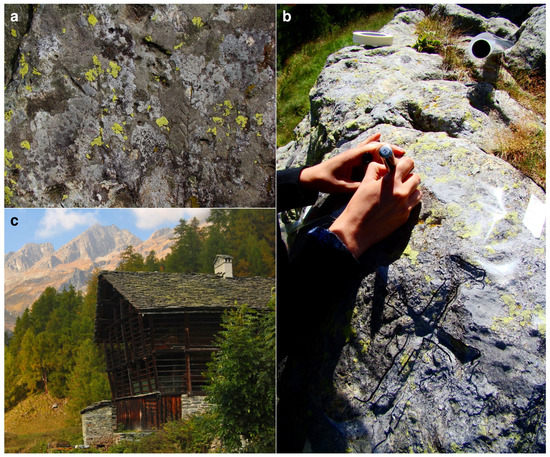 Fieldtrips and Virtual Tours as Geotourism Resources: Examples from the ...