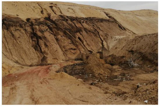 Municipal Solid Waste and Leachate Characterization in the Cairo ...