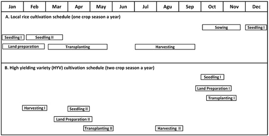 Tidal Rice Yield Assessment in Central Kalimantan, Indonesia, under ...