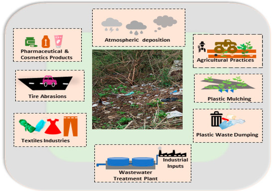 Microplastic Pollution in Terrestrial Ecosystems and Its Interaction with Other Soil Pollutants ...