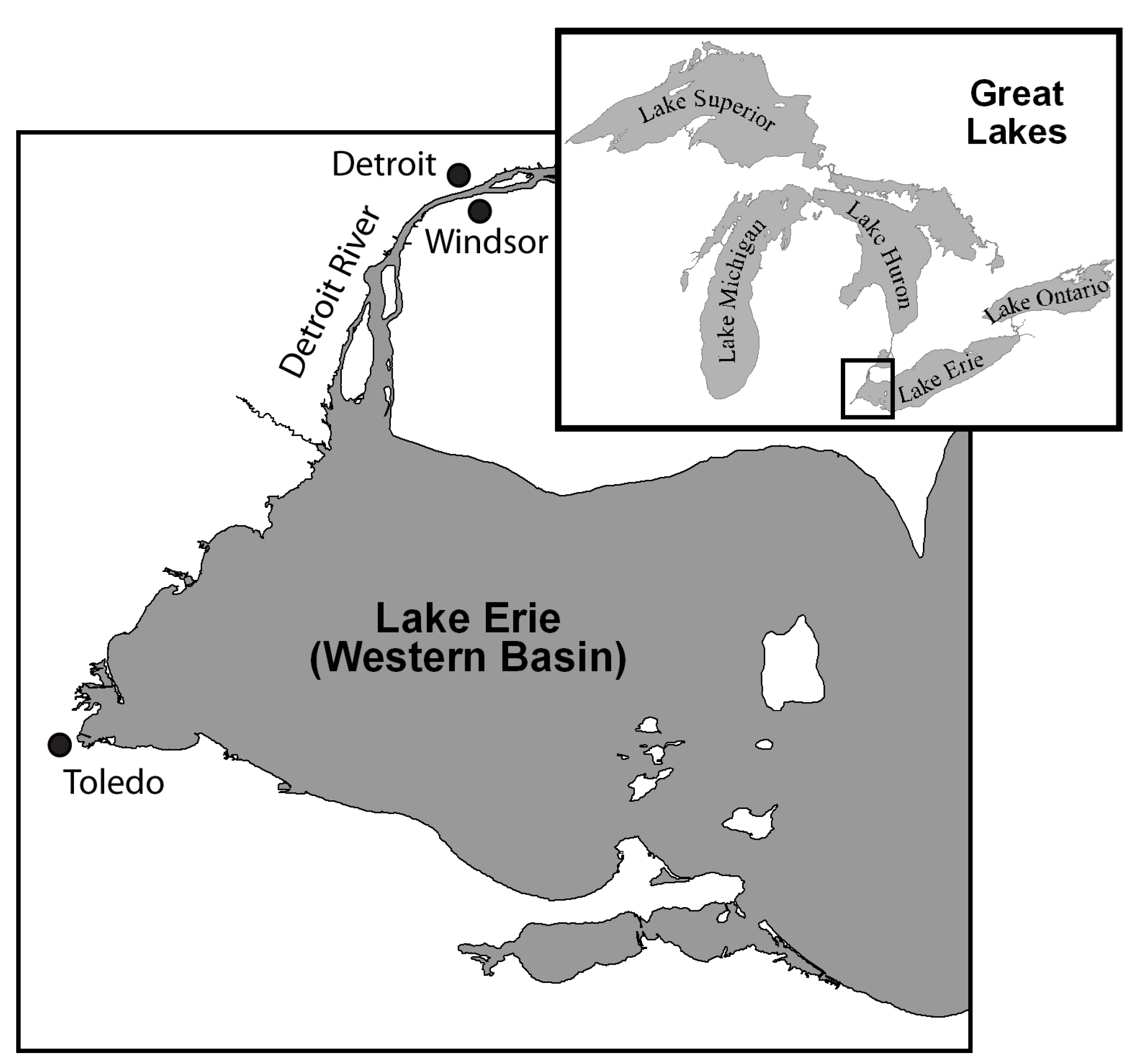 Rewilding the Detroit, Michigan, USA–Windsor, Ontario, Canada ...