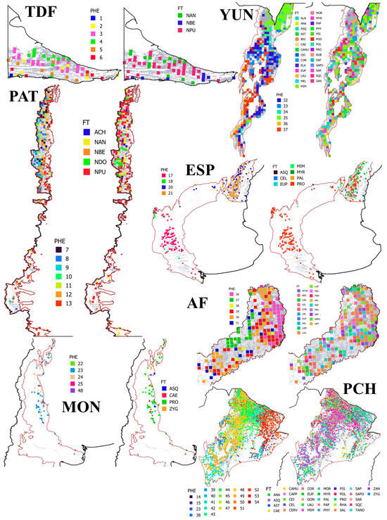 Different Approaches of Forest Type Classifications for Argentina Based ...