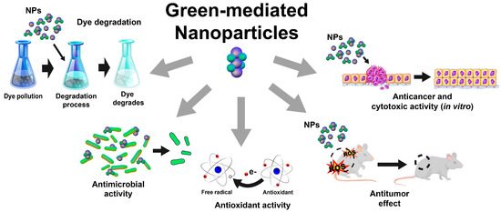 Plant-Based Extracts as Reducing, Capping, and Stabilizing Agents for the Green Synthesis of ...
