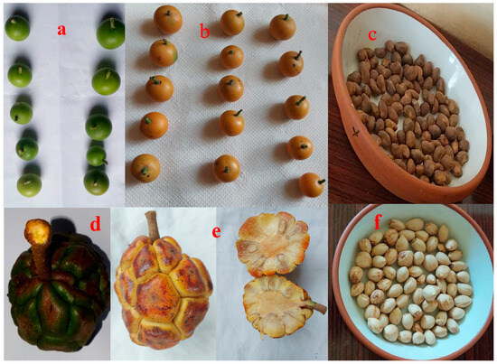 Characterization of Yield and Physico-Chemical Parameters of Selected ...