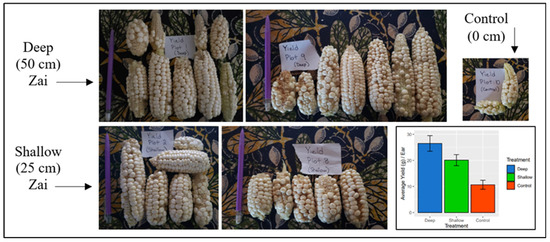 Zai Pits as a Climate-Smart Agriculture Technique in Southern Kenya ...