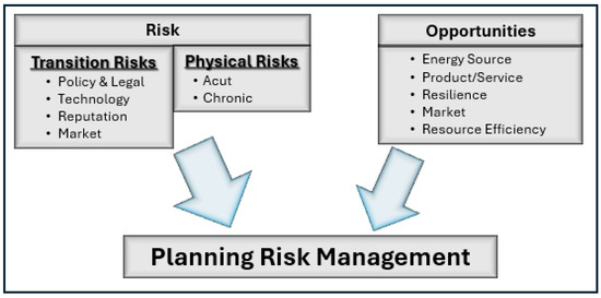 Transition Risk in Climate Change: A Literature Review