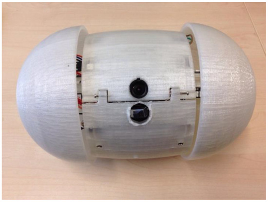 Towards Bio-Inspired Chromatic Behaviours in Surveillance Robots