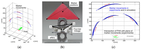 Experimental and Simulation-Based Investigation of Polycentric Motion ...