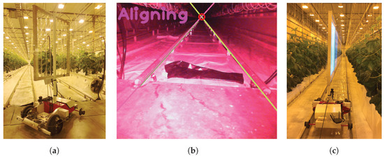 The Thorvald II Agricultural Robotic System