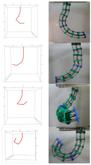 A Novel Discrete Wire-Driven Continuum Robot Arm with Passive Sliding ...