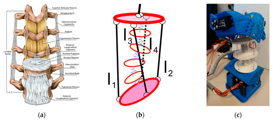 Robotics | Free Full-Text | Parallel Architectures for Humanoid Robots
