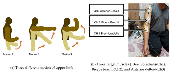 Mapping Three Electromyography Signals Generated by Human Elbow and ...