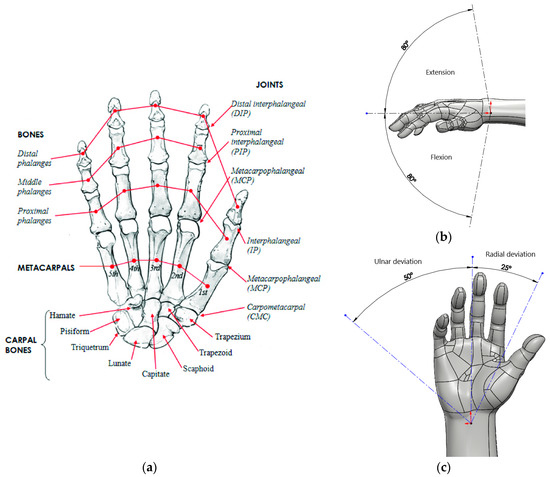Robotics | Free Full-Text | A Review of Active Hand Exoskeletons for ...